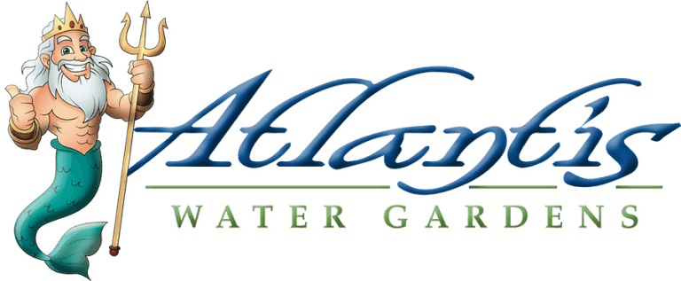 Fish & Koi Pond Installation Contractor in Short Hills, Livingston ...