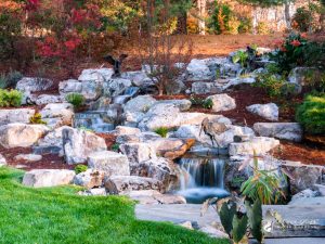 Beautiful Pondless Waterfall Pictures | Atlantis Water Gardens