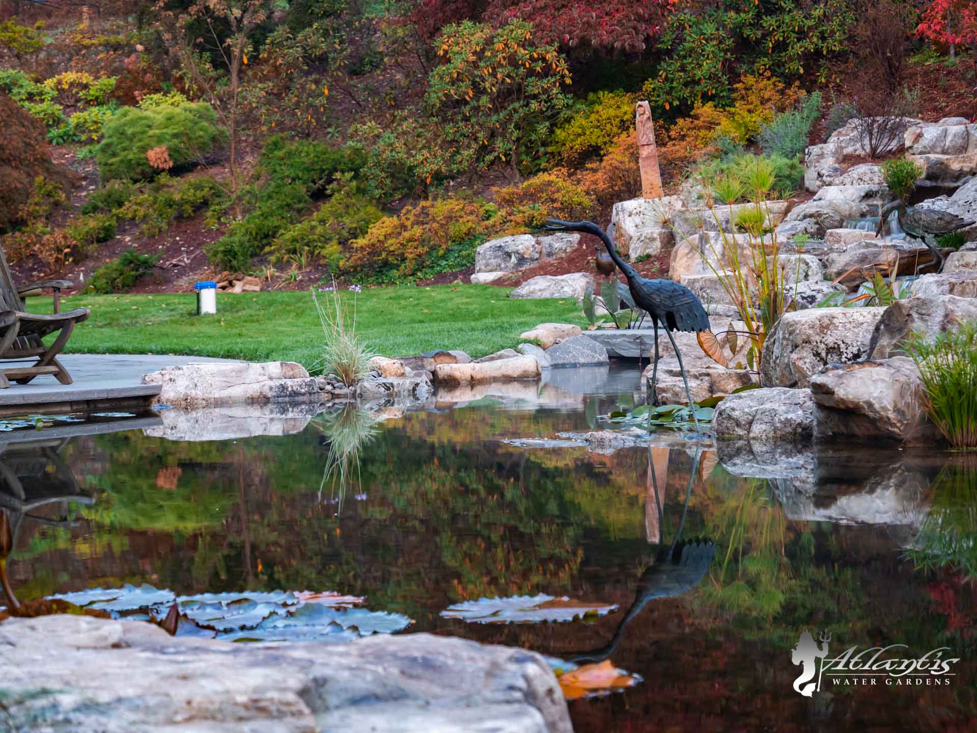 Koi Pond Pictures • Atlantis Water Gardens • Denville NJ