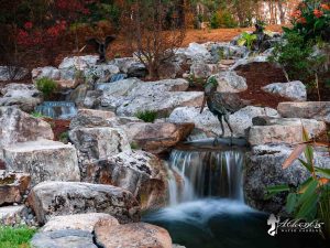 Beautiful Pondless Waterfall Pictures | Atlantis Water Gardens