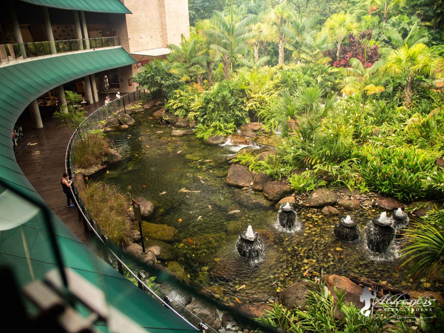 Koi Pond Portfolio | Atlantis Water Gardens