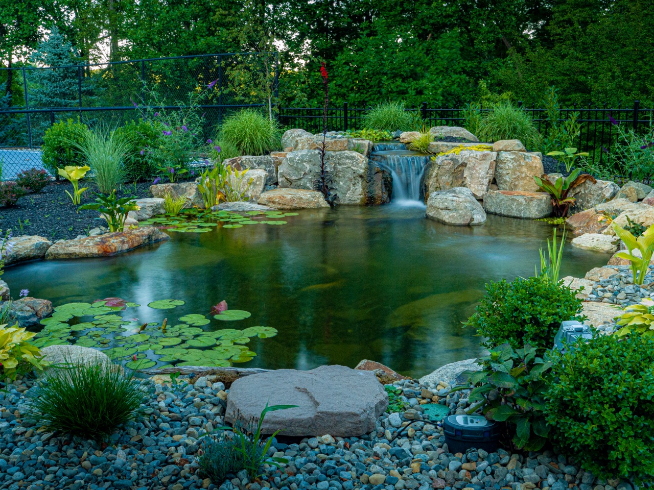 Koi Pond Package | Atlantis Water Gardens