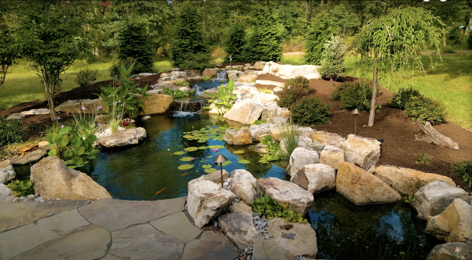 Koi Pond Package | Atlantis Water Gardens